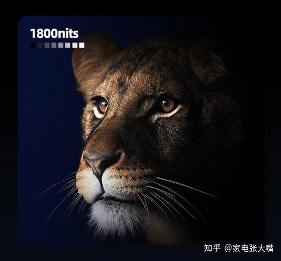 2024年货节 MiniLED电视新品合集海信电视篇-海信电视E7、E8、U8系列产品哪款最适合你？一篇看懂