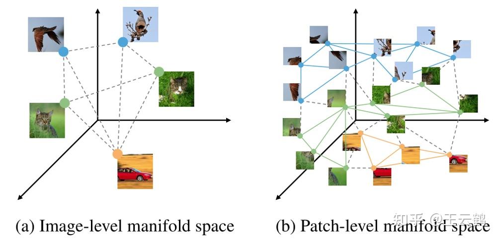 NeurIPS 2022 | 已开源 | Manifold Distillation：华为视觉Transformer流形级知识蒸馏方法 - 知乎
