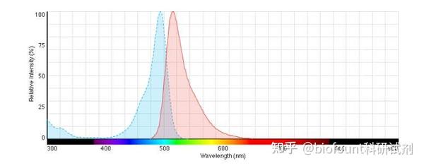 Calcein AM；细胞可透过性染料 - 知乎