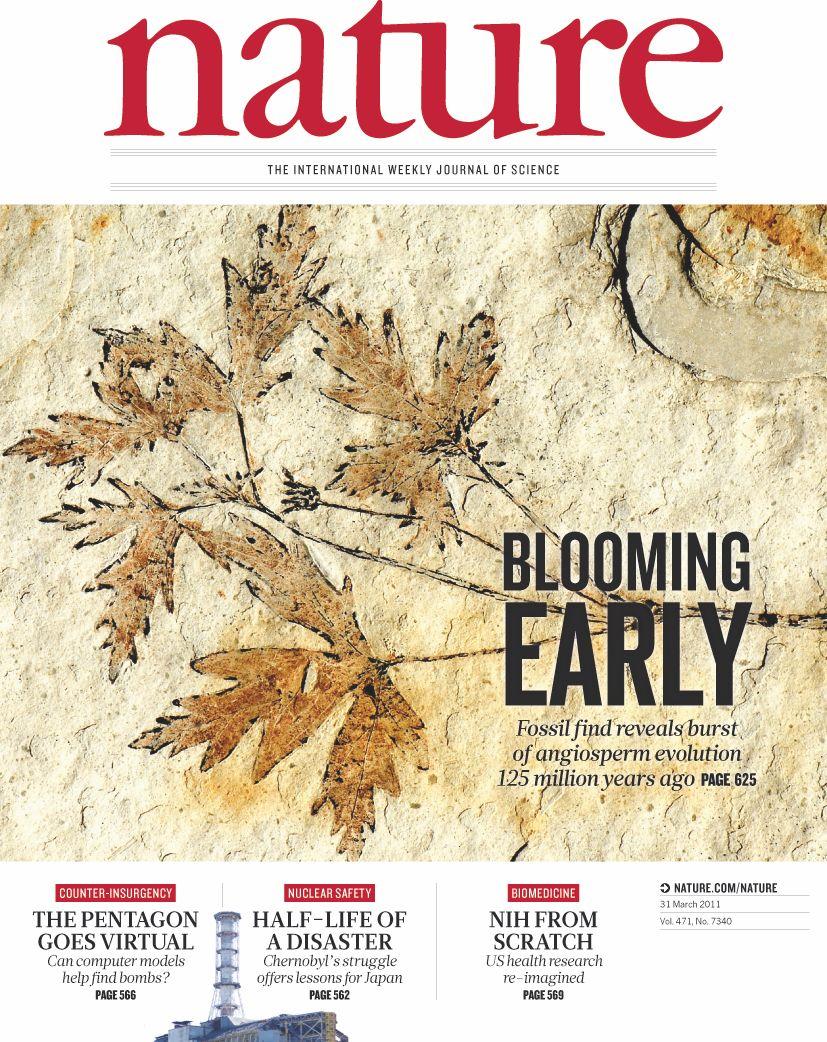 21世纪以来，登上Nature杂志封面的13篇中国论文 - 知乎