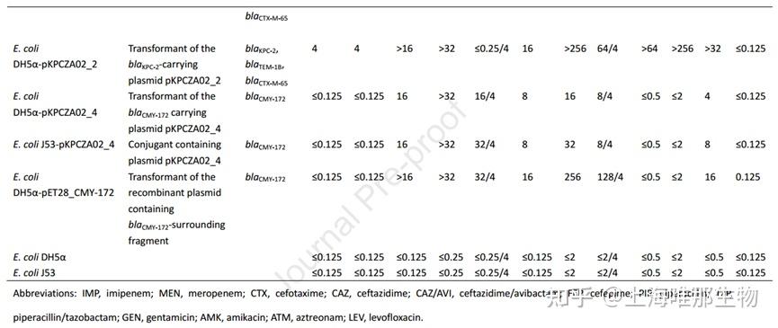 文献解读 | 新型CMY AmpC β-内酰胺酶导致产KPC肺炎克雷伯菌的头孢他啶-阿维巴坦耐药 - 知乎