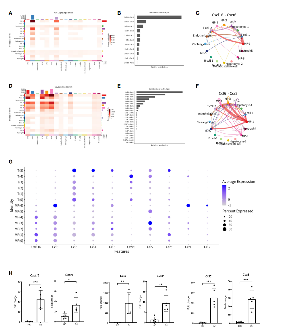 项目文章 | 单细胞测序剖析血吸虫感染后小鼠肝纤维化的免疫网络 - 知乎