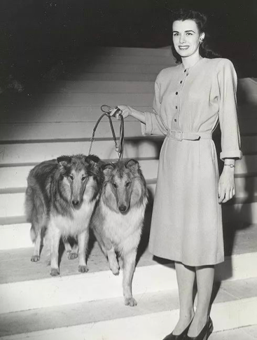 泰德·布朗琴·伊丽莎白·斯潘格勒 好莱坞女演员失踪案 -知乎结局全文后续