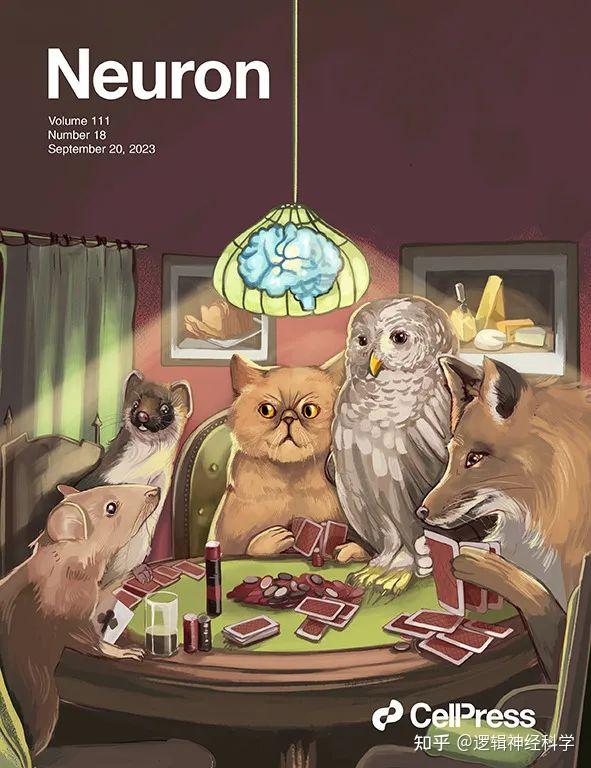 Neuron︱收藏！2023年期刊封面文章汇总 - 知乎