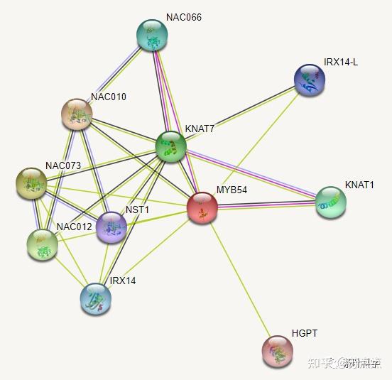 跟着文献学生信（一）| 利用STRTING构建蛋白互作网络 - 知乎
