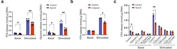 Nature Comunications｜脂滴相关蛋白ApoL6 通过与 Perilipin1互作抑制脂肪分解 - 知乎