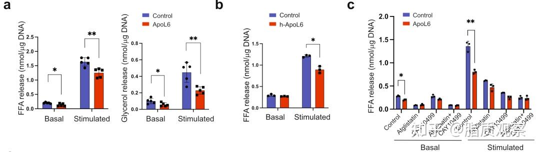 Nature Comunications｜脂滴相关蛋白ApoL6 通过与 Perilipin1互作抑制脂肪分解 - 知乎