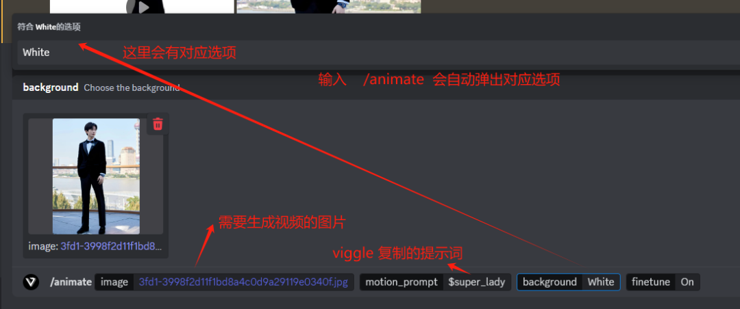 Viggle AI：在Discord中轻松生成图片视频 - 知乎