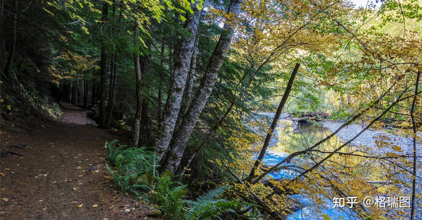 vLLM-0004-伺服 01-分布式推理和伺服 - 知乎