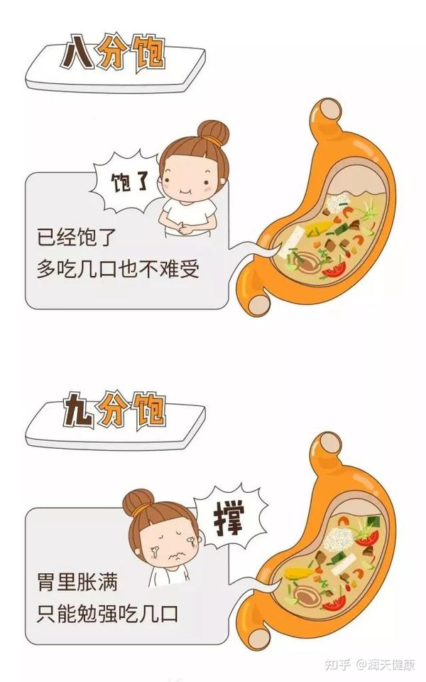 如何养成七分饱的习惯? 知乎
