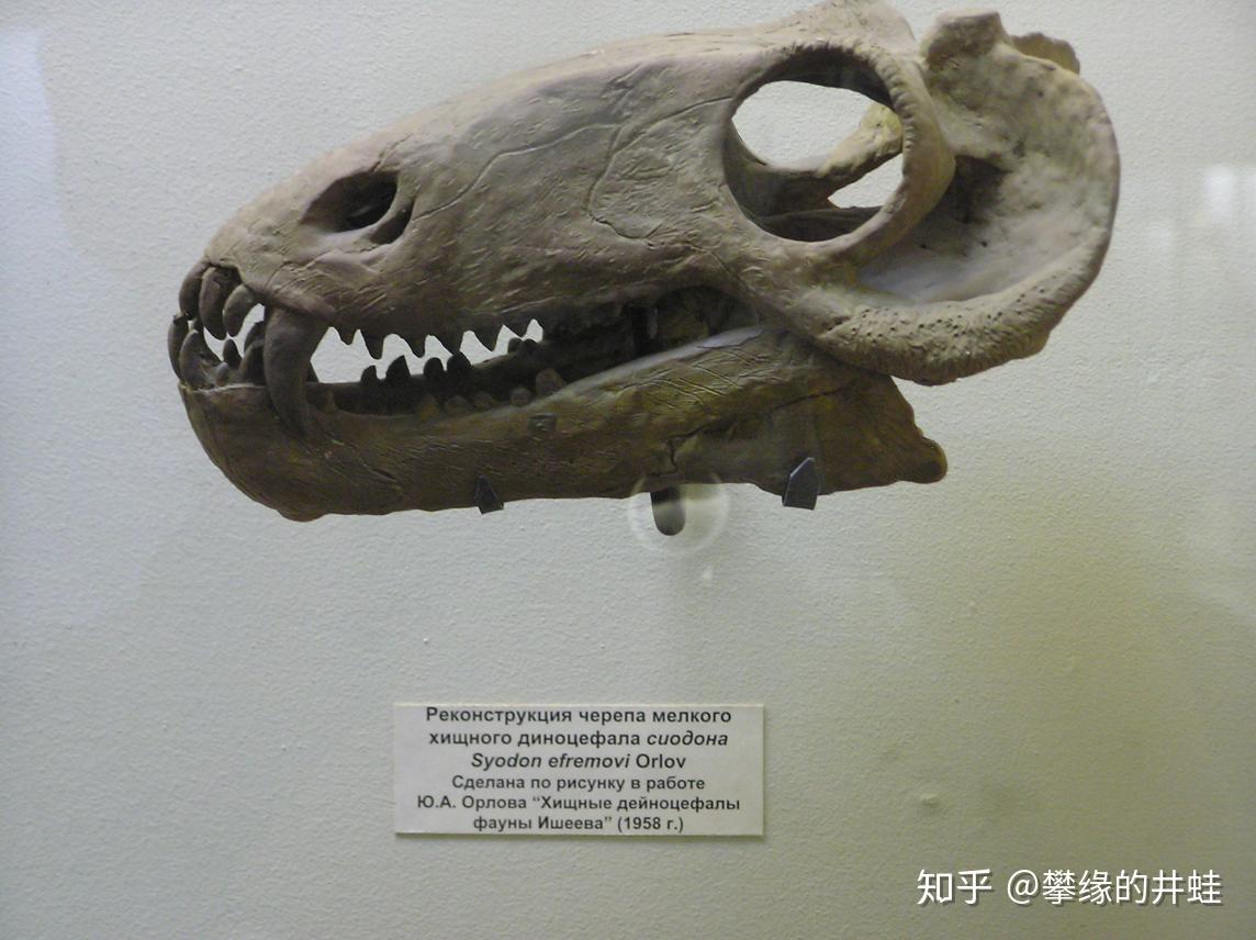 【地球演义】百兽图6：惊饕餮 - 知乎