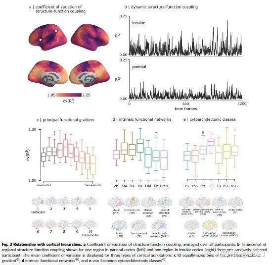Time Resolved Structure Function Coupling In Brain Networks 待修改 知乎