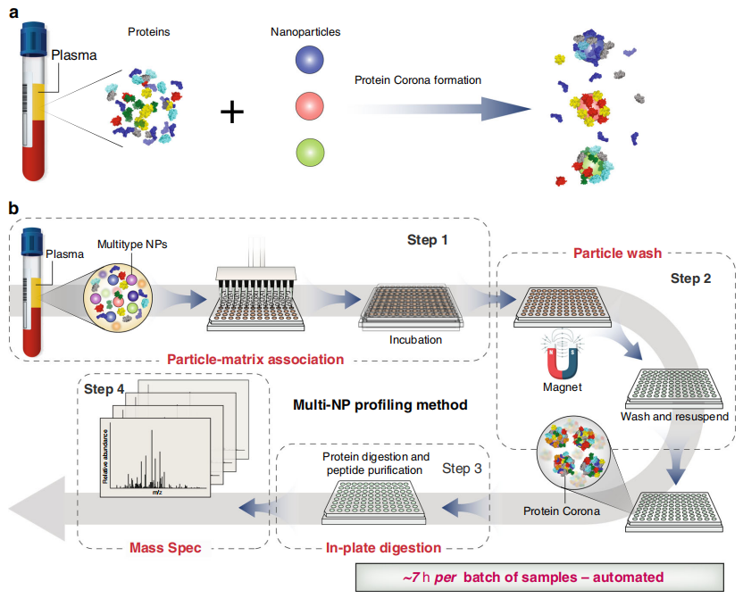 新品发布 | 蛋白冠™蛋白质组学震撼来袭！ - 知乎