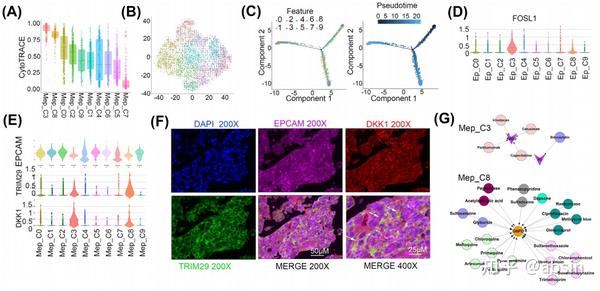BD单细胞测序联合Absin多色，共同探索脑部肿瘤微环境 - 知乎