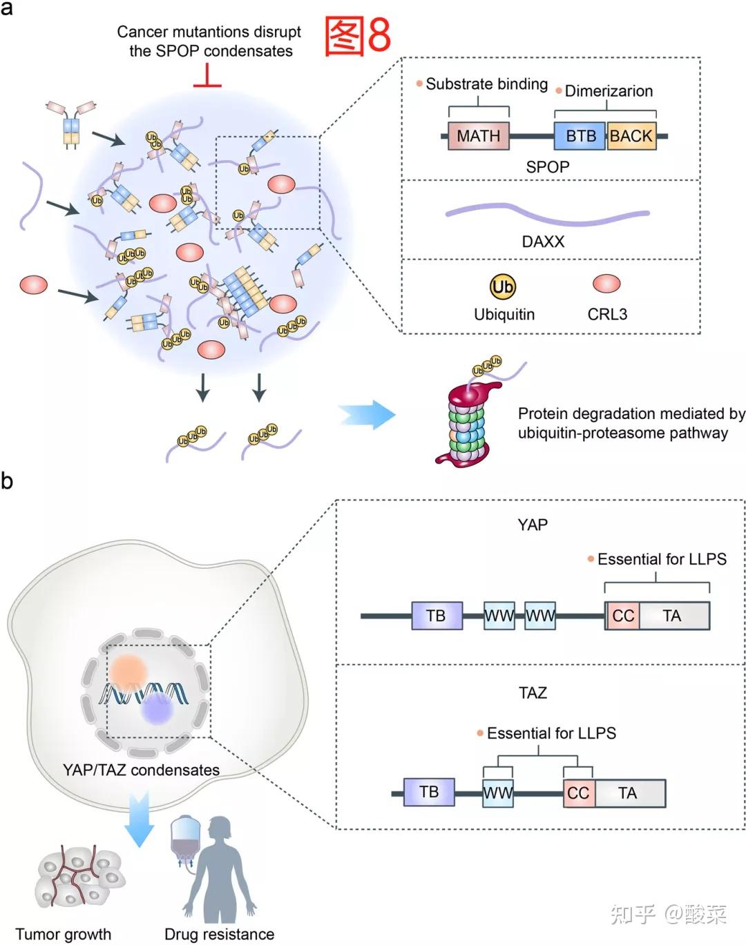 你们想要的这篇高分重磅综述真来了！兼顾所有科研汪！ - 知乎