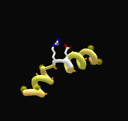 Foldit standalone: 强大的交互式蛋白设计窗口 - 知乎