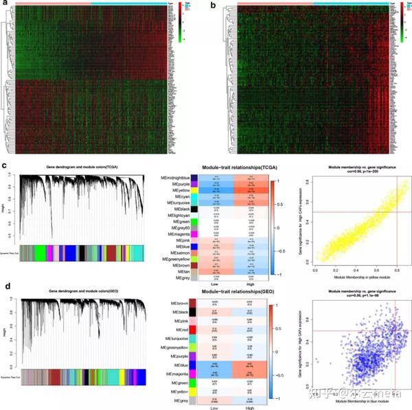 肿瘤免疫浸润+WGCNA， 5+“骚操作” - 知乎
