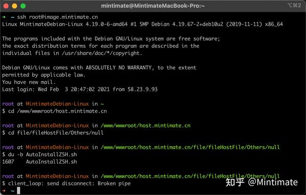 Linux Mac如何配置zsh并使用oh My Zsh？让你的终端更加好用 知乎