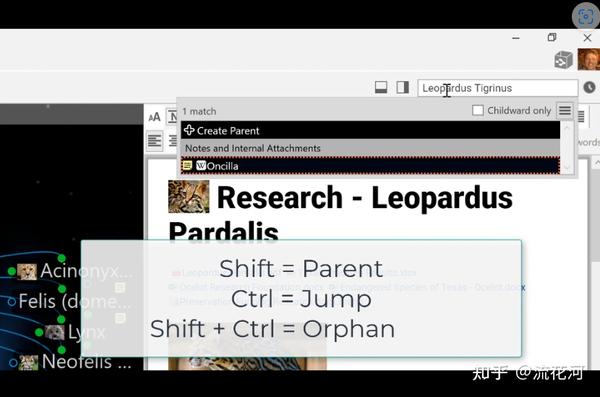 TheBrain 13 新功能亮点 激活 - 知乎