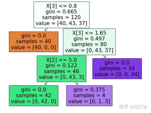 Python 决策树进行鸢尾花分类 知乎 