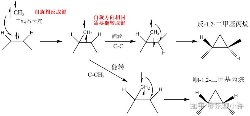 烯烃与卡宾的反应 - 知乎