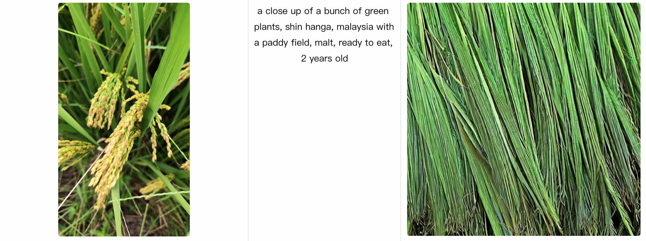 AI小实验：CLIP-Interrogator 图像理解搭配 Stable Diffusion2 图像生成 - 知乎