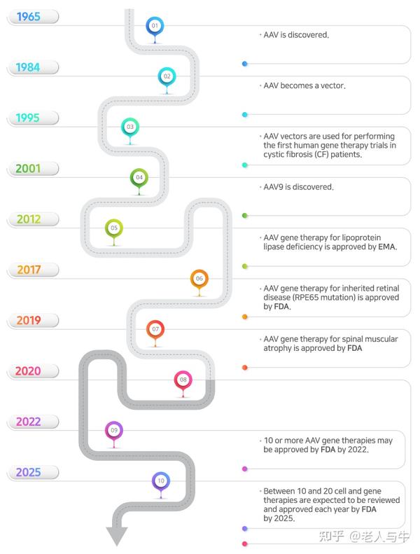 腺相关病毒—眼睛是AAV基因疗法理想的窗户 - 知乎