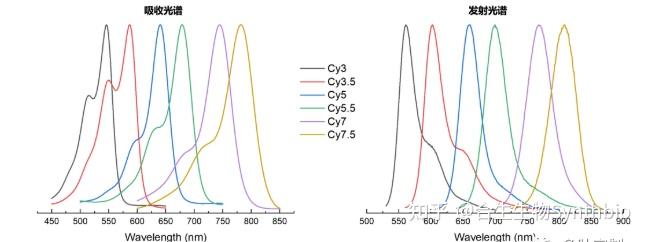菁染料Cy7|Cy5|Cy5.5|Cy3荧光标记介绍 - 知乎