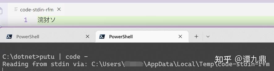 pwsh: 解决文字编码问题 - 知乎