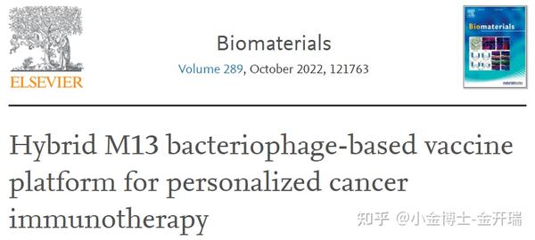 【客户文献分享】IF＞15，基于杂化M13噬菌体的疫苗平台用于个性化肿瘤免疫治疗 - 知乎