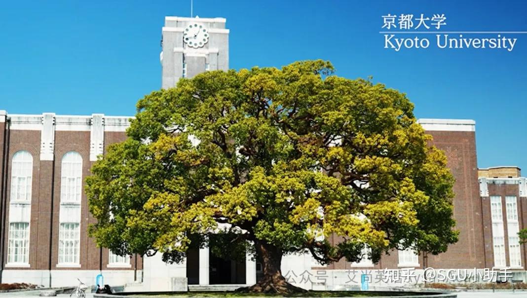 SGU学部全攻略：京都大学 国际本科项目IUP 2025年9月入学 - 知乎