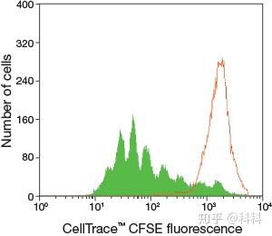 【工具】CFSE T cell proliferation assay - 知乎
