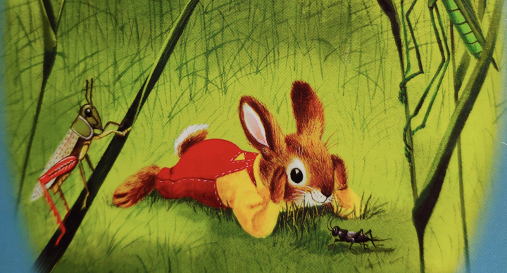 经典英文绘本 I am a Bunny - 知乎