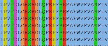 详解多序列比对软件Jalview的使用方法，美化-编辑-自定义设计 - 知乎