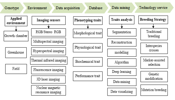 跨越表现型和基因型之间的桥梁:先进成像技术在森林表型上的应用综述 - 知乎