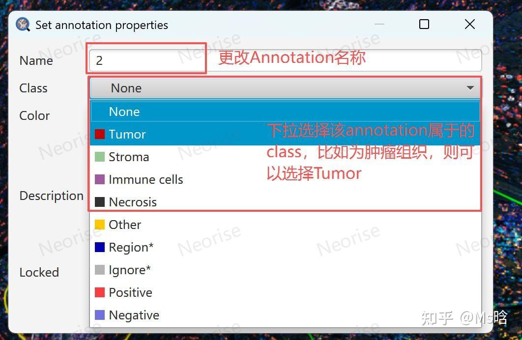 QuPath使用指南②：界面认知与基础标注 - 知乎
