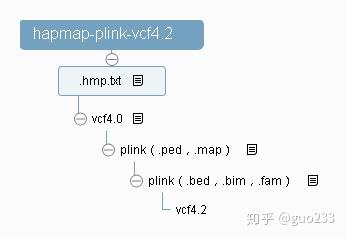 Hapmap 格式转 plink（.ped, .map）格式 - 知乎