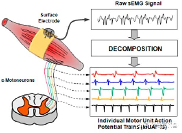 脑电（EEG），肌电（EMG）和眼动追踪（eye tracking），分别适用于哪些研究？ - 知乎