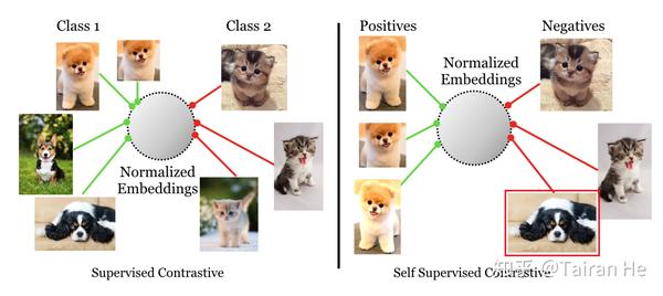 【论文笔记 1】Supervised Contrastive Learning - 知乎