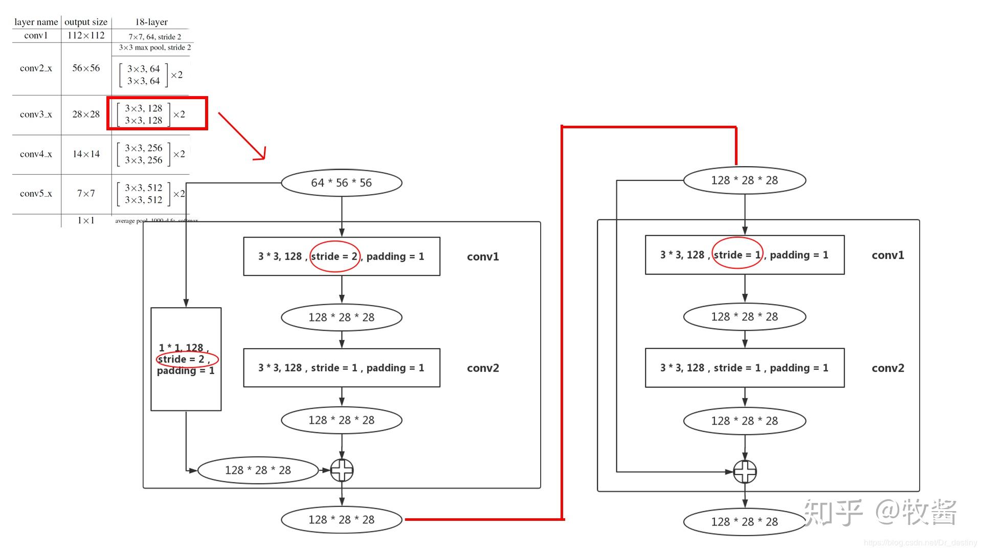 ResNet网络结构分析 - 知乎