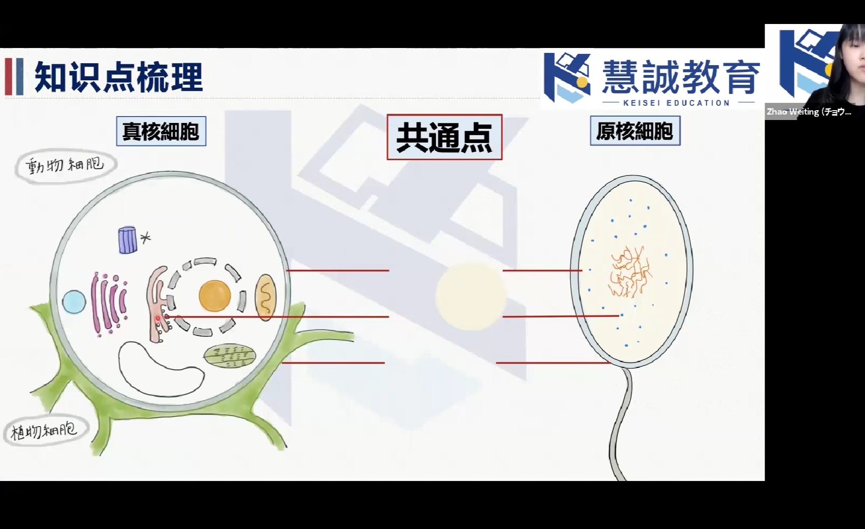 日本留学：EJU课堂-生物 - 知乎
