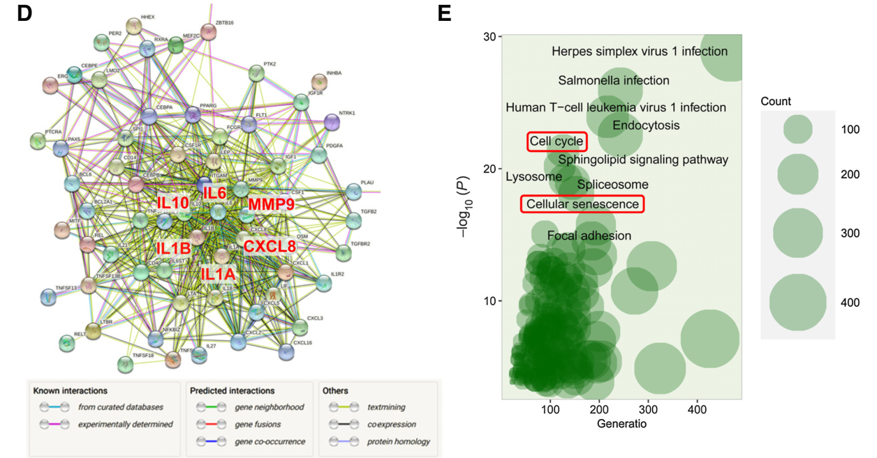 项目文章｜iNKT细胞免疫疗法疗效不佳？都是iNKT细胞衰老惹的祸！ - 知乎