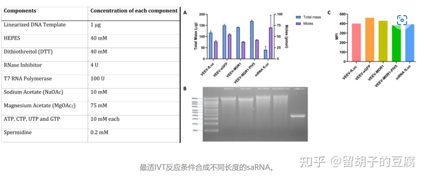 DoE优化IVT反应体系，提升saRNA产量。 - 知乎