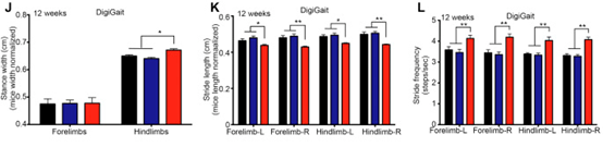 为何DigiGait步态分析系统，能接连助力发表顶级期刊文献？ - 知乎