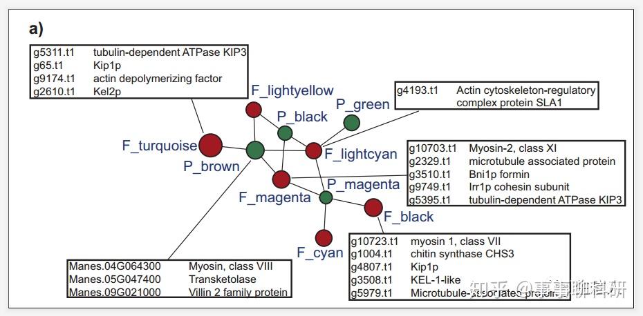 生信人WGCNA系列： WGCNA分析详解专题(二) - 知乎