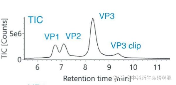 干货分享 | AAV衣壳表征 - 知乎