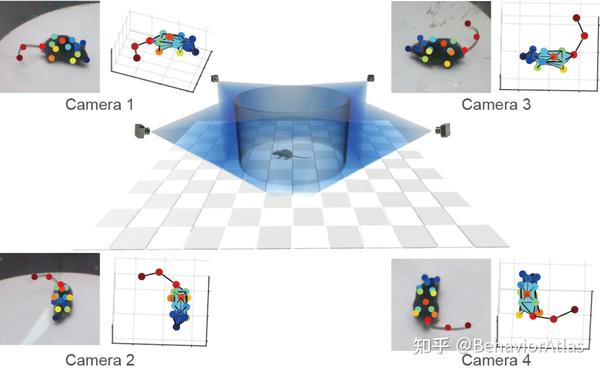 3d Ai 三维精细行为分析系统 知乎