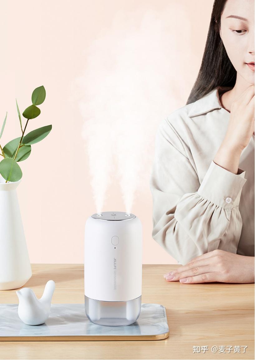加湿器好用吗？应该如何选购？无雾or有雾？2021平价加湿器推荐