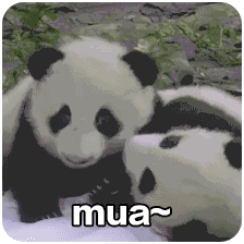 mua表情包合集,mua表情包动图,mua动态表情包,mua动图,啵啵表情包 - 知乎