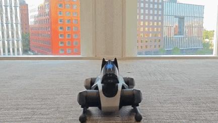 小米×DKE东方科脉联合推出四足仿生机器人电致变色版CyberDog2 - 知乎